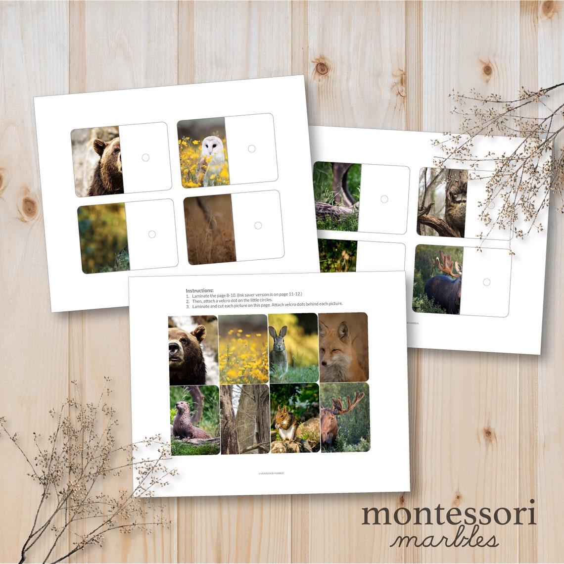 WOODLAND ANIMALS Montessori Picture Matching Activity | Etsy