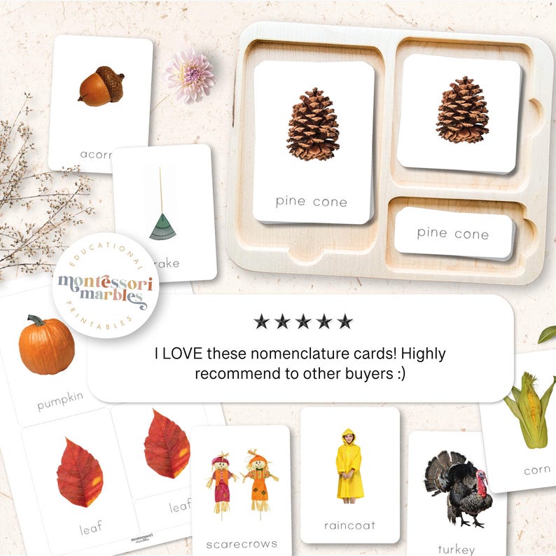 Fall Montessori Nomenclature Cards | Autumn Vocabulary Learning ...