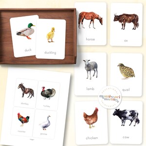 FARM ANIMALS Flash Cards | Montessori Inspired Printable Resources ...