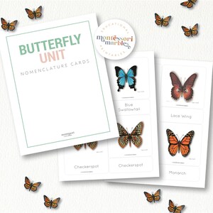 BUTTERFLY Montessori Nomenclature Cards | Types of Butterflies | Spring ...
