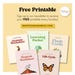 Large Vehicles Flash Cards | Construction & Public Service Trucks ...
