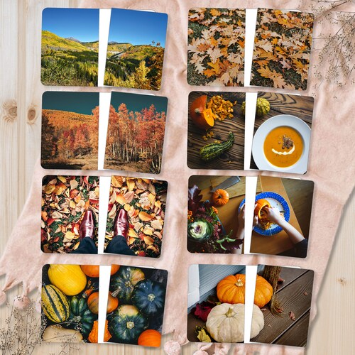 Fall Autumn Shadow Matching Cards Montessori Printable - Etsy