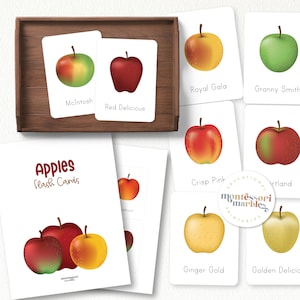 APPLES Flash Cards | 10 Flashcards | Montessori Inspired Homeschool ...