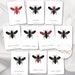 PARTS OF BEE Montessori Nomenclature Cards Nature Inspired Learning ...
