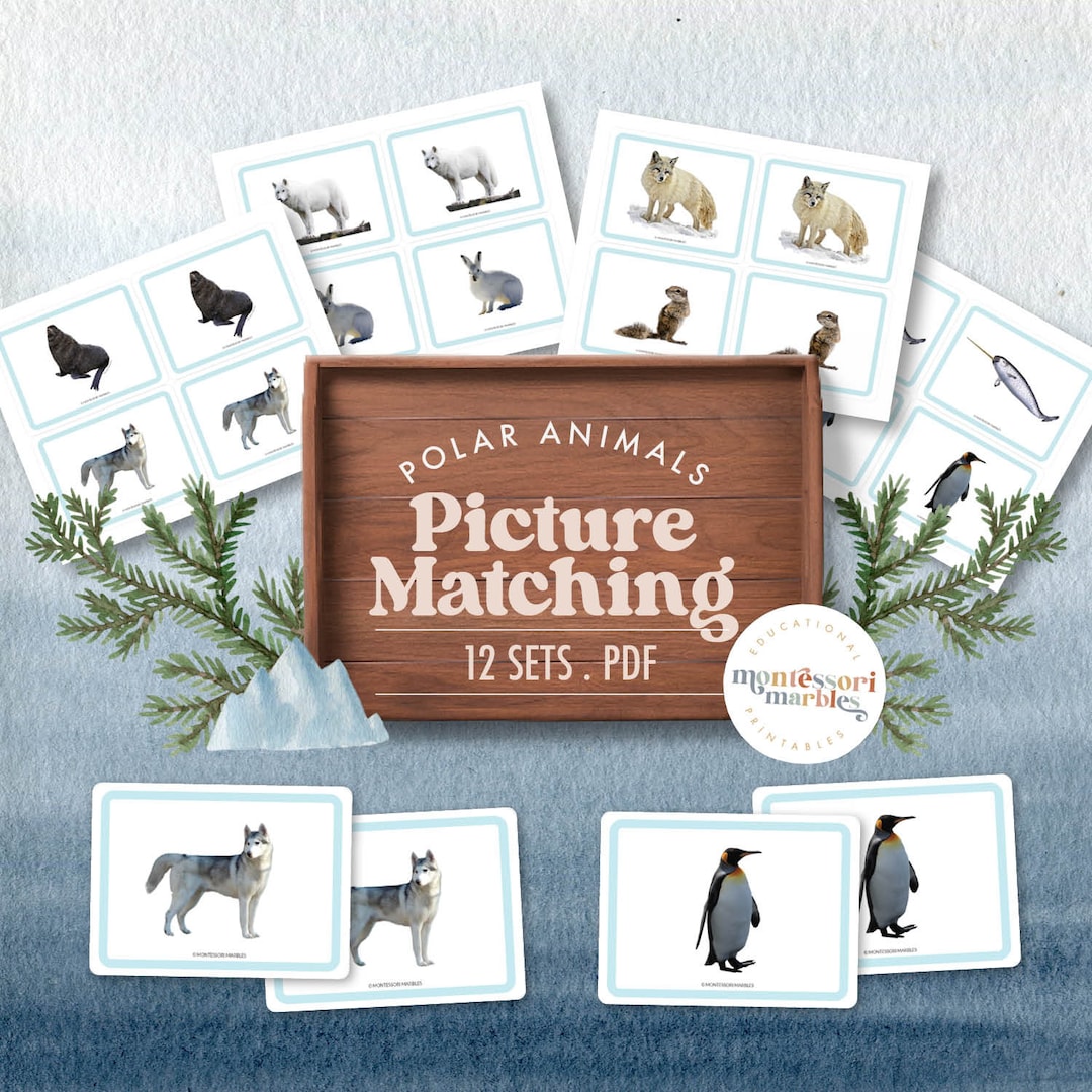 POLAR ANIMALS Picture Matching Cards | Montessori Inspired Learning ...
