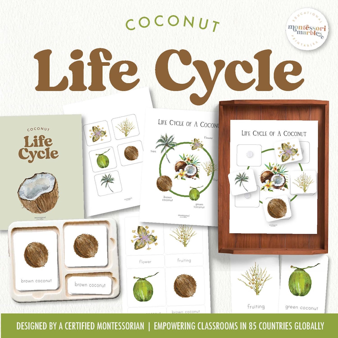 COCONUT Life Cycle | Montessori Nomenclature Cards and Life Cycle ...