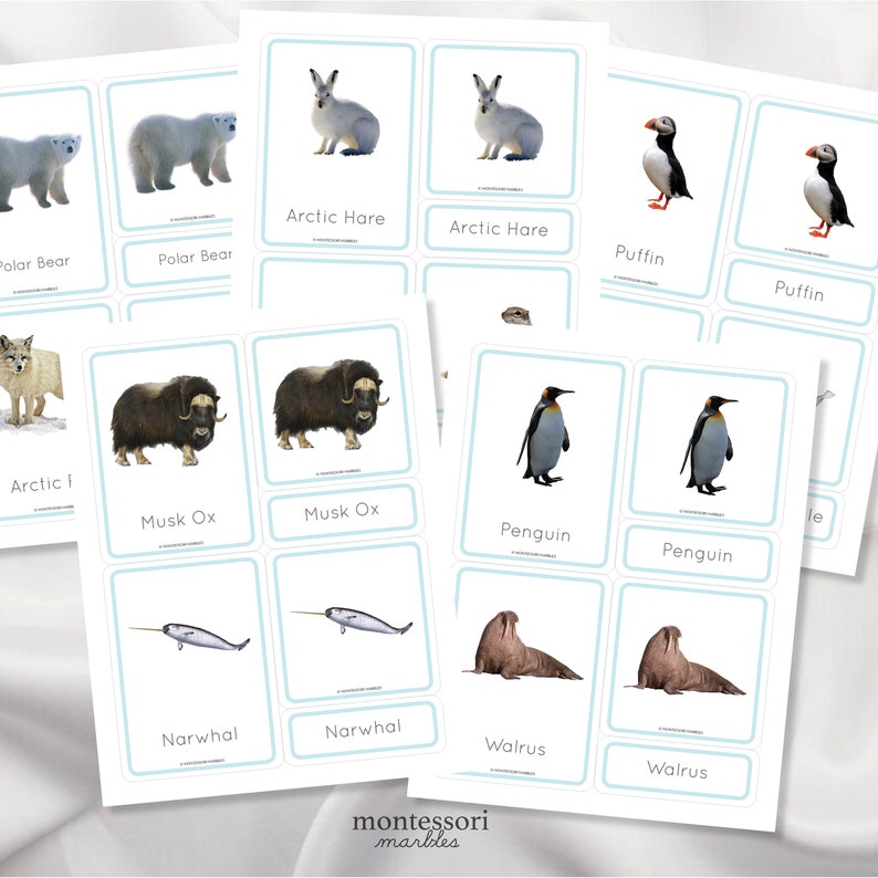 POLAR ANIMALS Nomenclature Cards Arctic Animals Montessori - Etsy