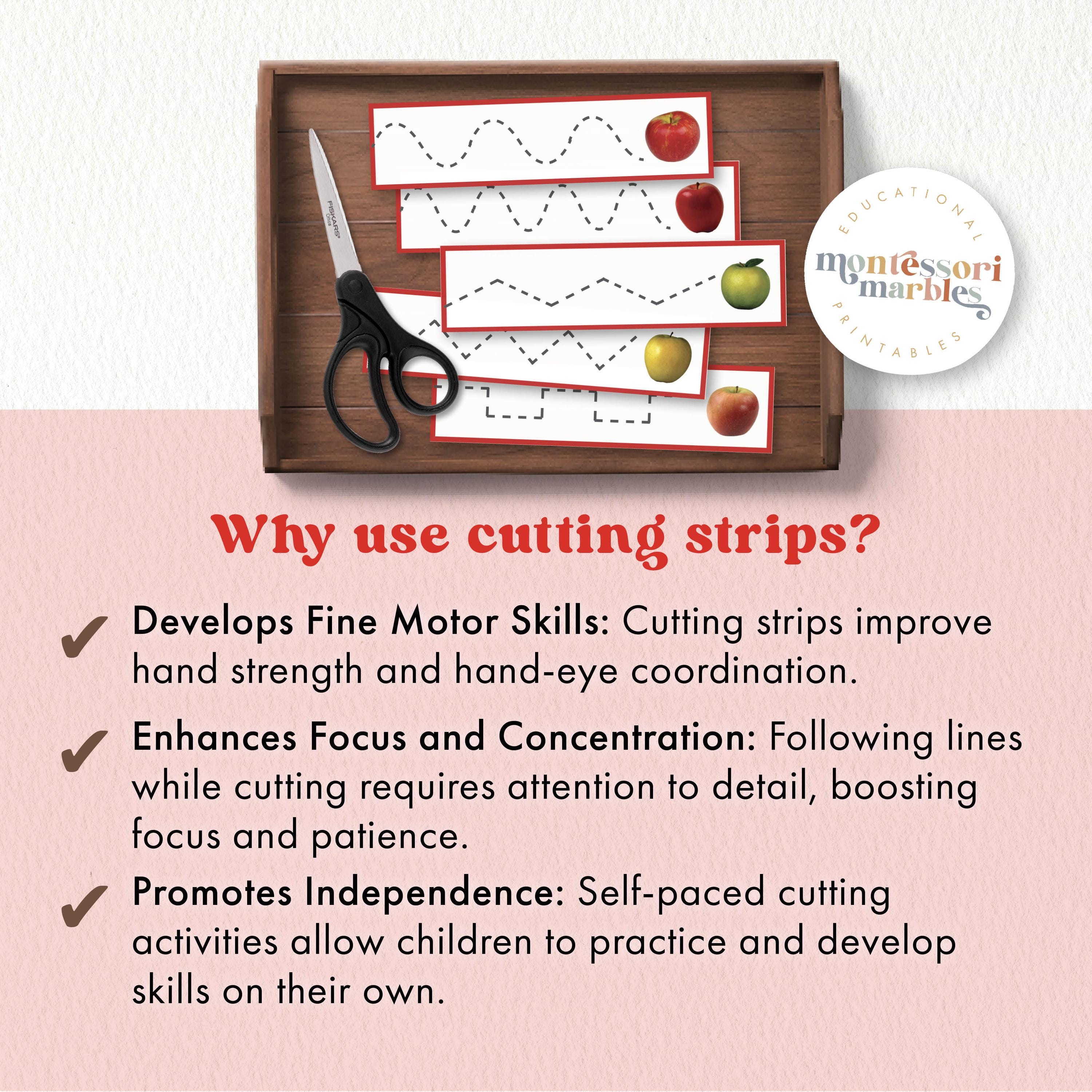 Apples Cutting Strips | Fall Scissor Skills | Montessori Fine Motor ...
