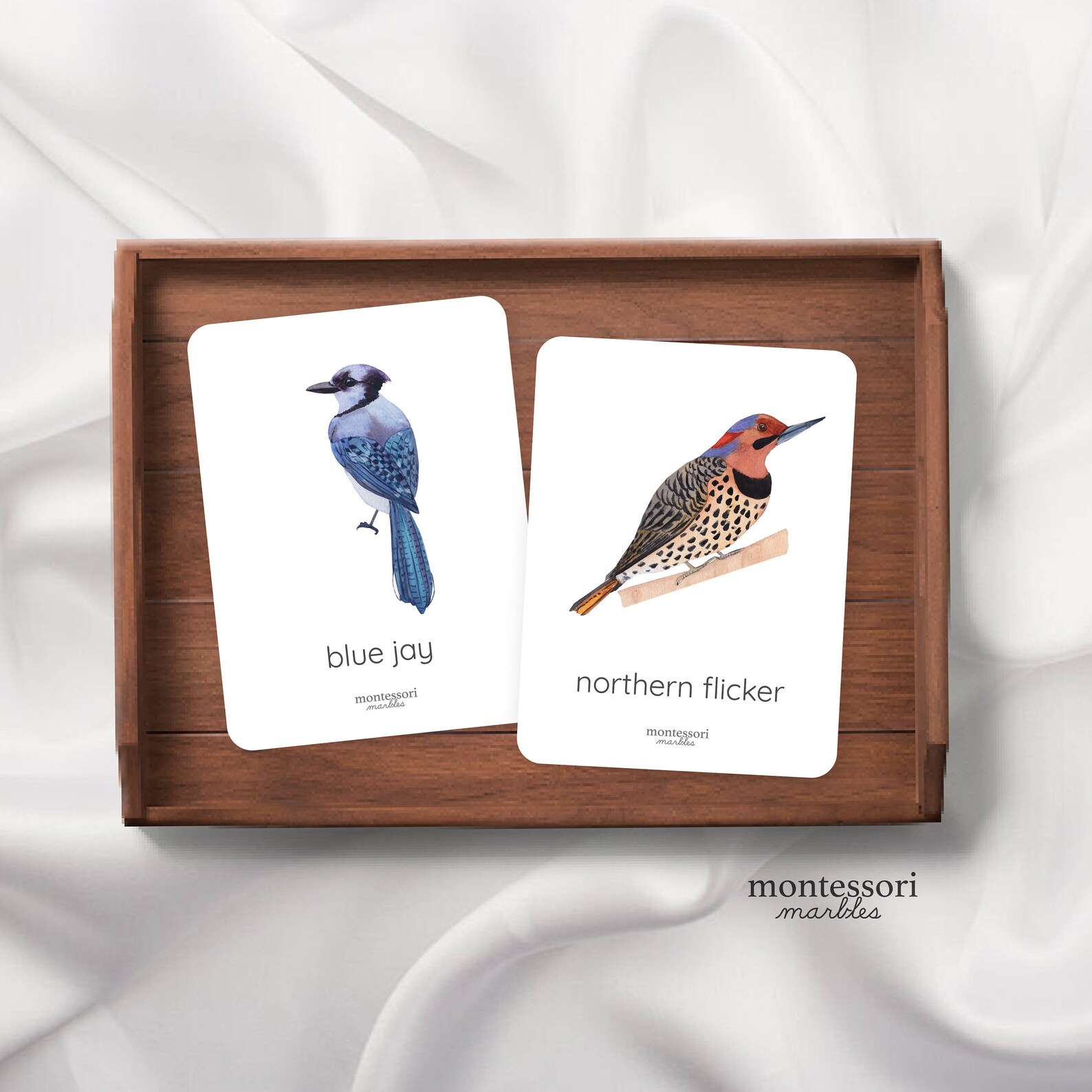 WINTER BIRDS Flash Cards 16 Flashcards Montessori Inspired - Etsy