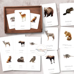 WOODLAND ANIMALS Flash Cards | Montessori Inspired Printable Resources ...