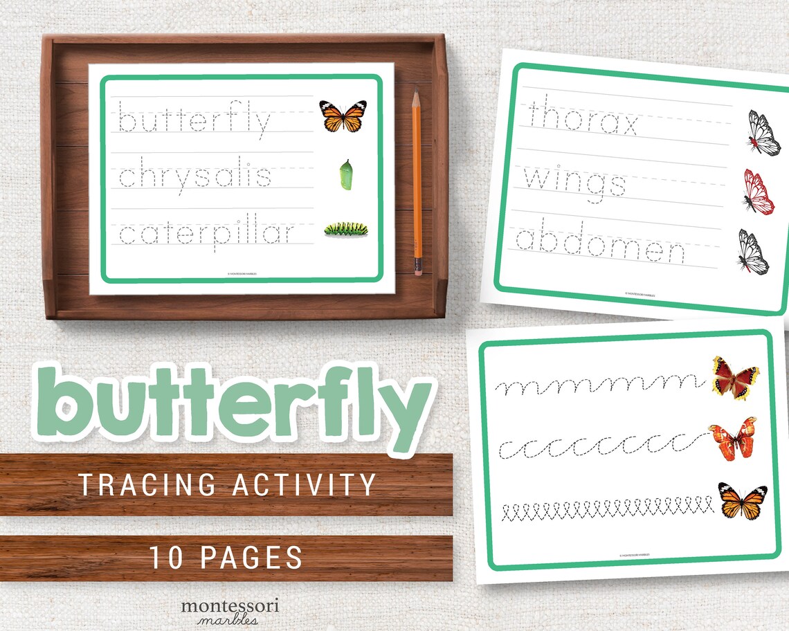 Butterfly Tracing Activities for Preschool and Kindergarten in | Etsy