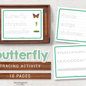 Butterfly Tracing Activities for Preschool and Kindergarten in | Etsy