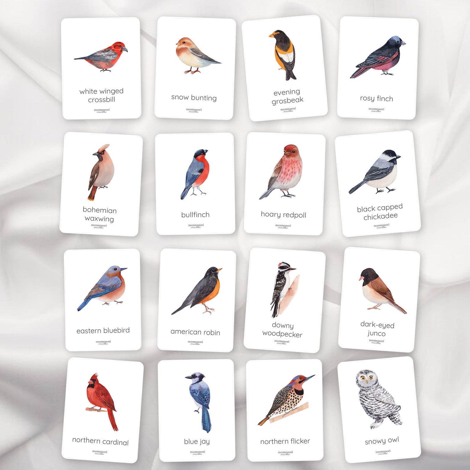 WINTER BIRDS Flash Cards 16 Flashcards Montessori Inspired - Etsy