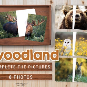 WOODLAND ANIMALS Montessori Picture Matching Activity | Etsy