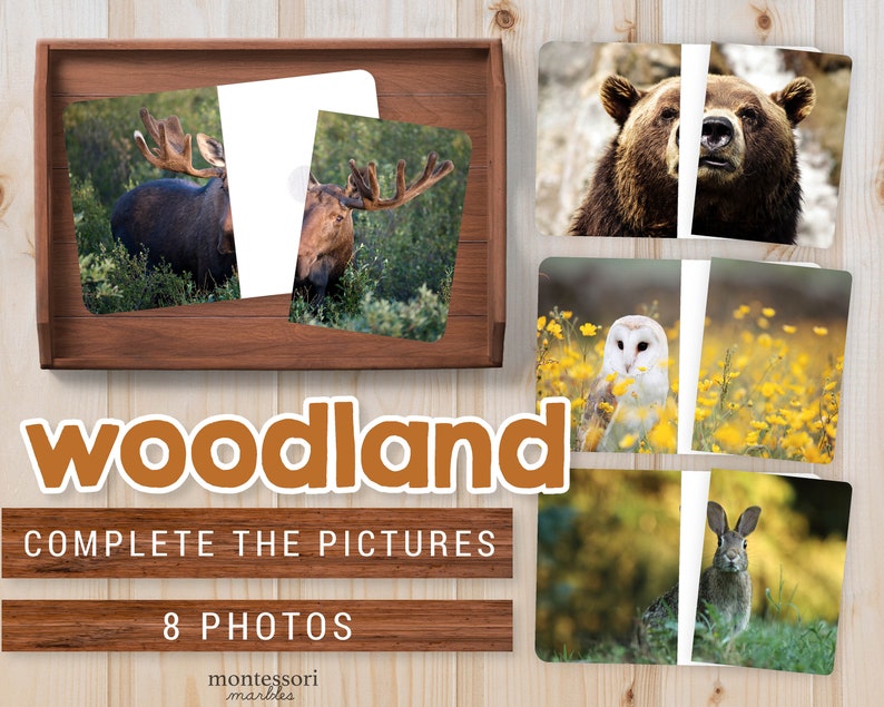 WOODLAND ANIMALS Montessori Picture Matching Activity | Etsy