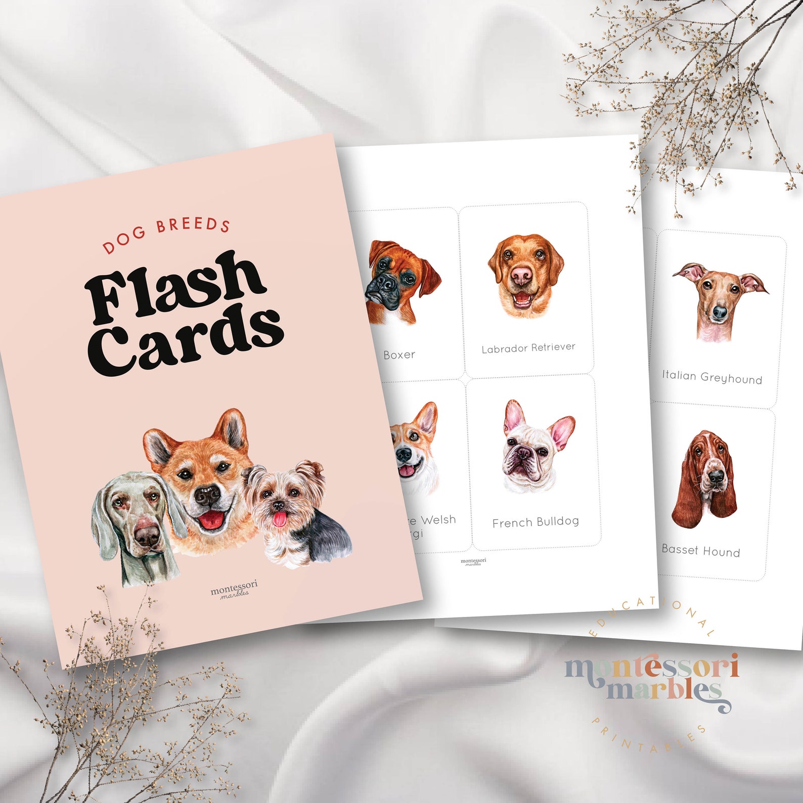 Dog Breeds Flash Cards | Montessori Homeschool Vocabulary | Real Photo ...
