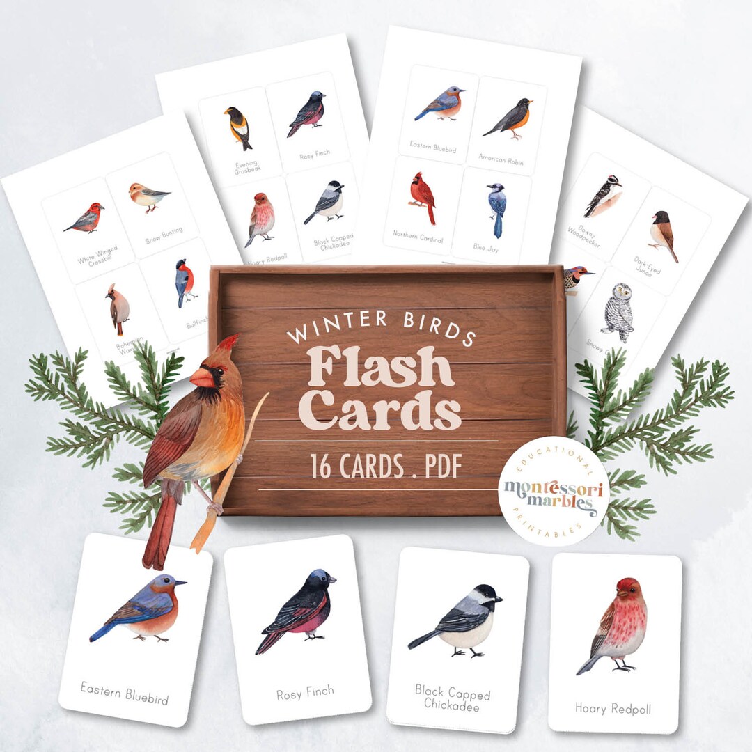 WINTER BIRDS Flash Cards | 16 Flashcards | Montessori Inspired ...