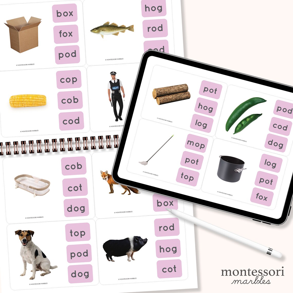 Montessori Pink Series Name the Objects SHORT O Flash Card | Etsy