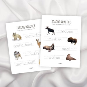 POLAR ANIMALS Tracing Activities | Handwriting Practice With Line ...