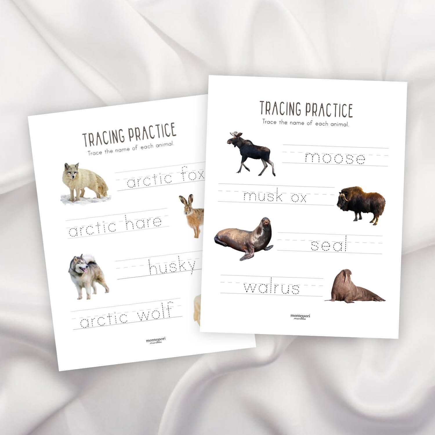 POLAR ANIMALS Tracing Activities Handwriting Practice With Line Tracing ...
