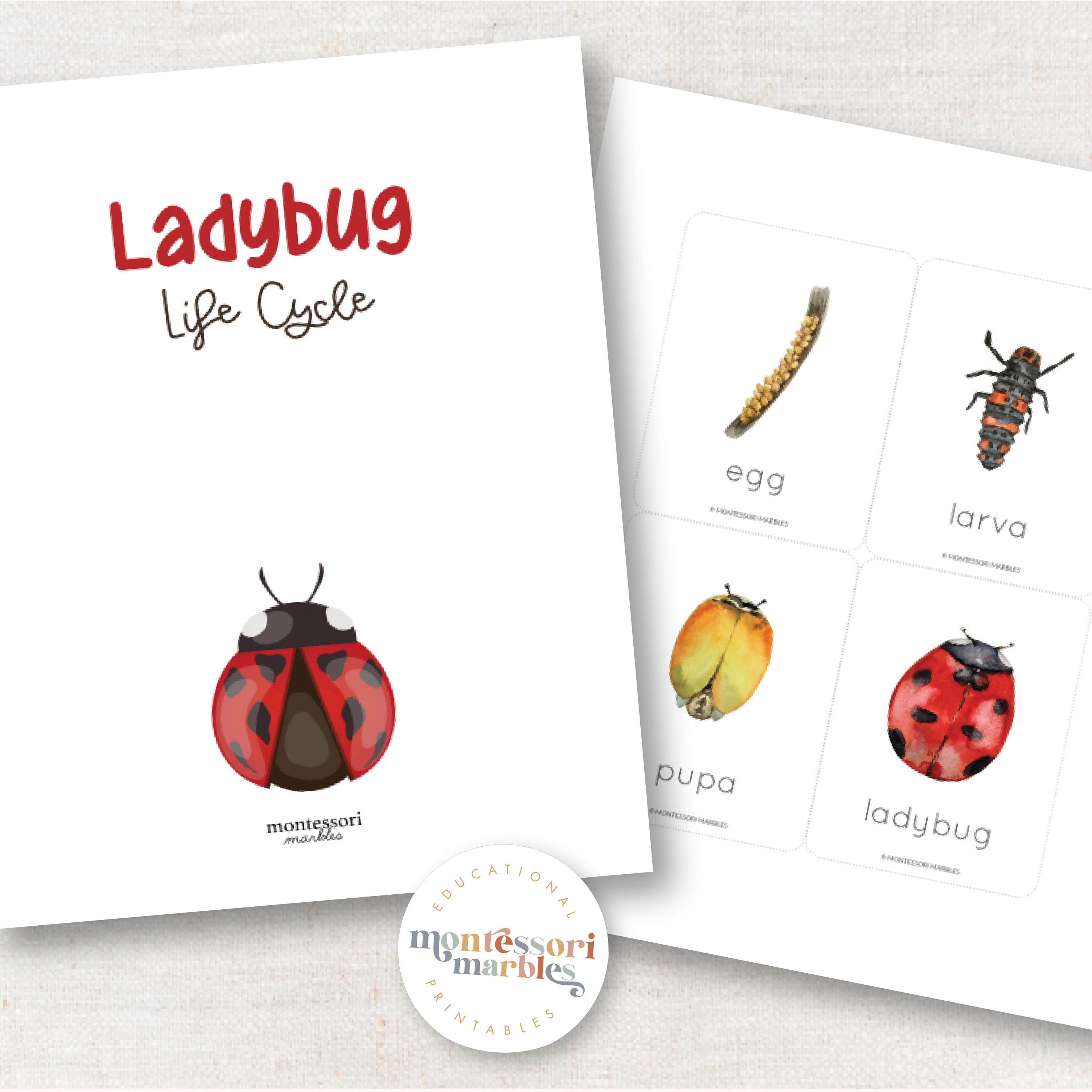 LADYBUG Life Cycle and Nomenclature Cards Montessori Inspired Nature ...