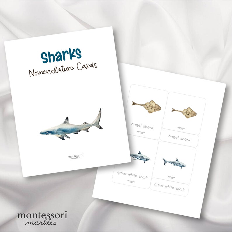 SHARKS Nomenclature Cards Types of Sharks Watercolor - Etsy