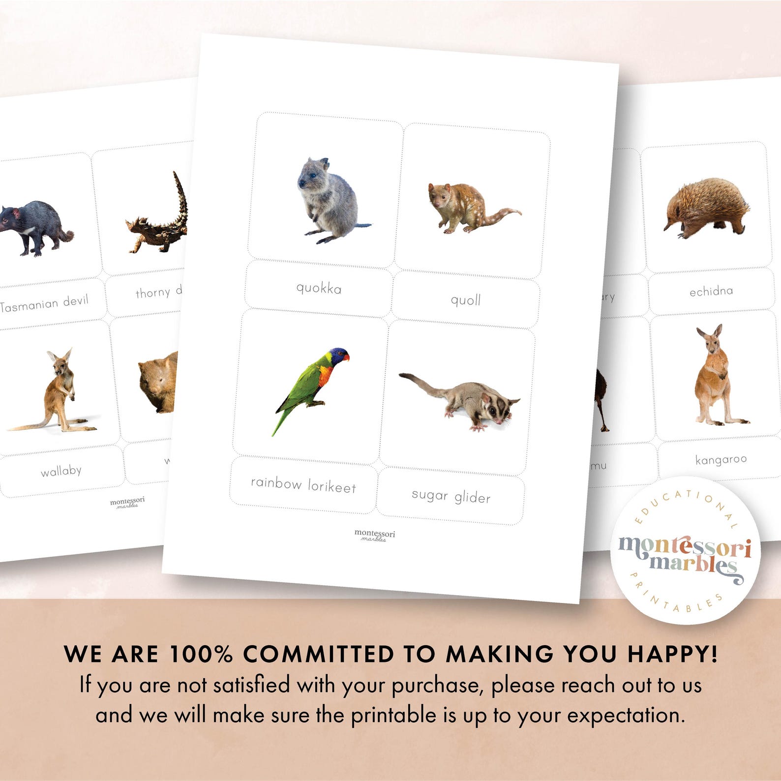 Australian Animals Nomenclature Cards | Montessori 3-part Cards ...