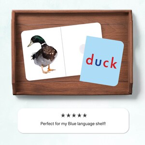 Montessori Blue Series Pairing Cards: Early Literacy (digital Download ...