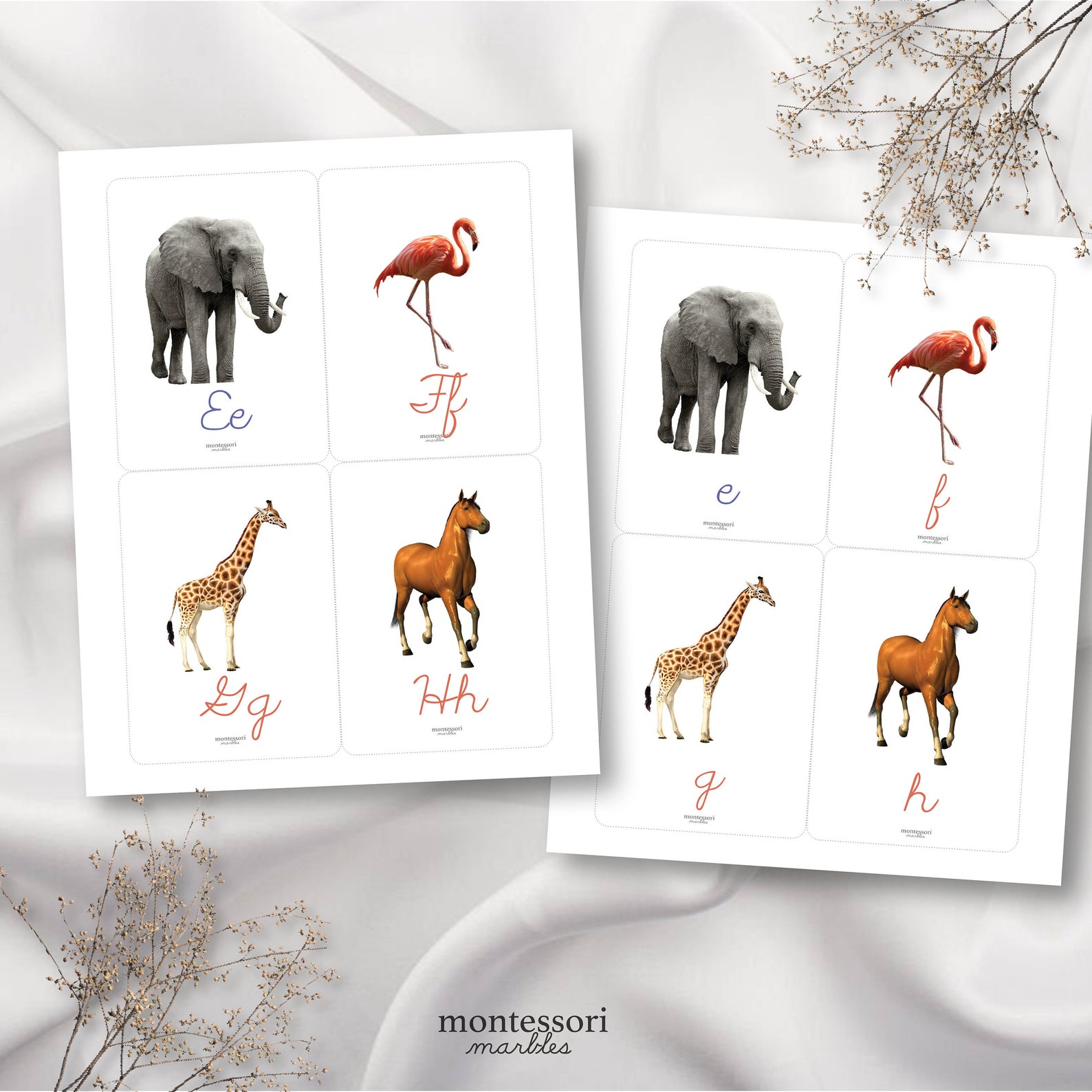 CURSIVE BEGINNING SOUNDS Flash Card Montessori, Phonics, Vocabulary ...