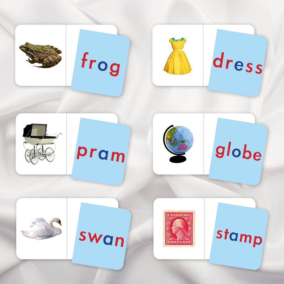 MONTESSORI BLUE SERIES Pairing Cards Montessori Language Activities for ...