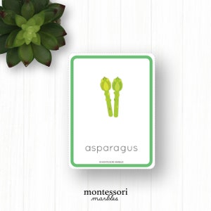 VEGETABLE Flash Cards Montessori Resources Preschool Prek | Etsy