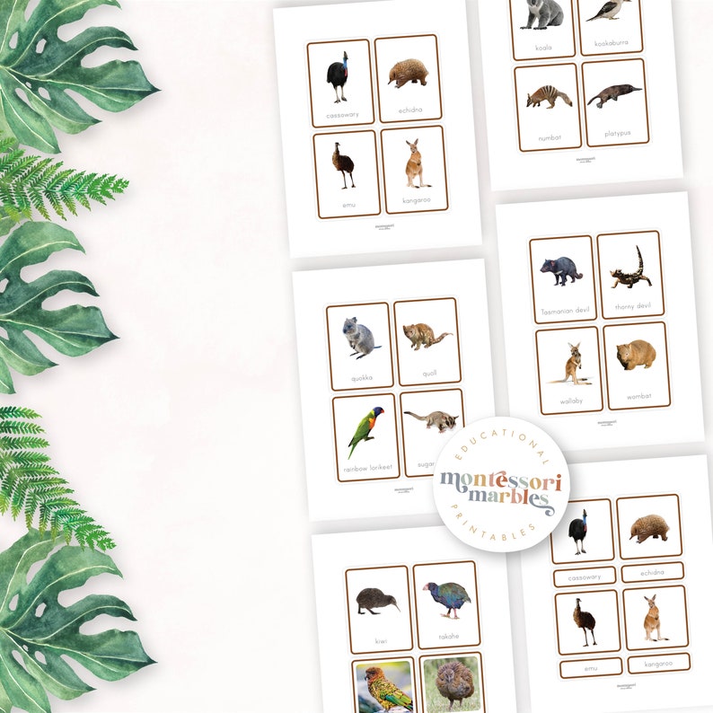 Oceania Animals Nomenclature Cards | Montessori Geography | Nature ...