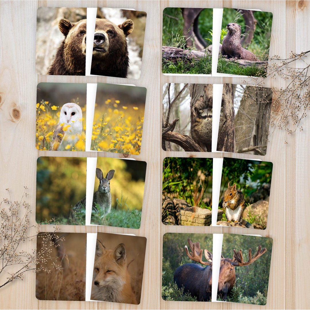 WOODLAND ANIMALS Montessori Picture Matching Activity - Etsy