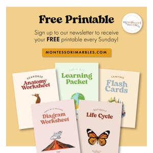 MUSHROOM Magnifying Matching Game | Montessori at Home Using Magnifying ...