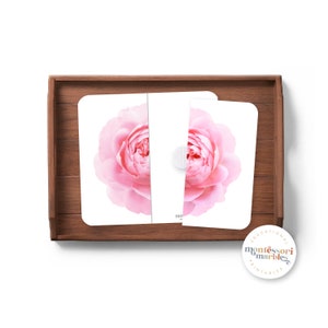 FLOWERS Symmetry Matching Puzzle Montessori Inspired Visual Skill ...
