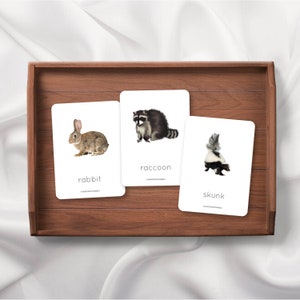 WOODLAND ANIMALS Flash Cards Montessori Inspired Printable Resources ...