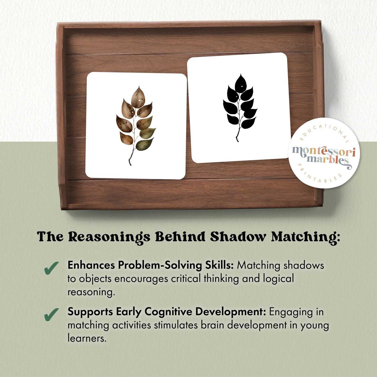Leaves Shadow Matching Game | Montessori Nature Visual Skills ...