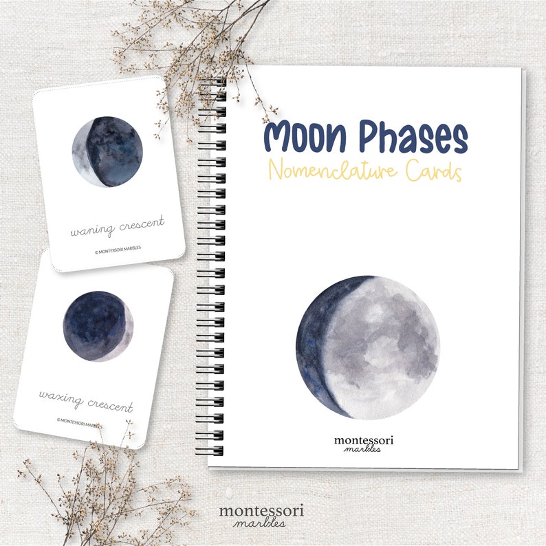 CURSIVE MOON PHASES Montessori Nomenclature Cards Montessori | Etsy
