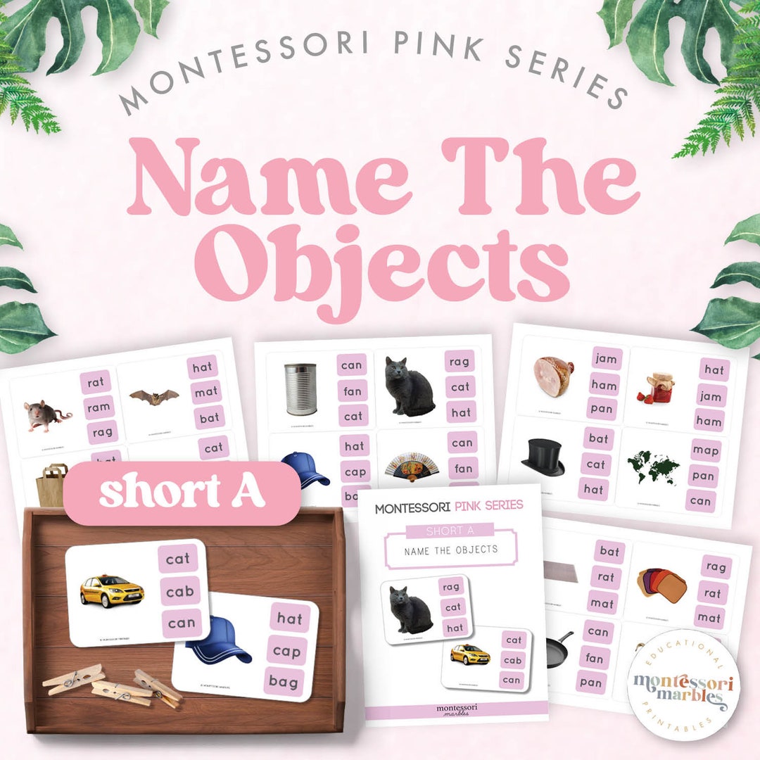 Montessori Pink Series, Name the Objects, SHORT A Flash Card, Printable ...