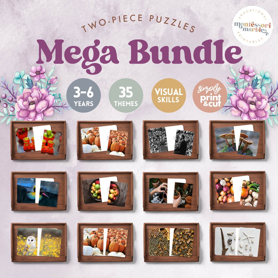 80% OFF MEGA BUNDLE Complete the Pictures | 2-piece Puzzles | Pack for ...
