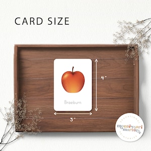 APPLES Flash Cards | 10 Flashcards | Montessori Inspired Homeschool ...
