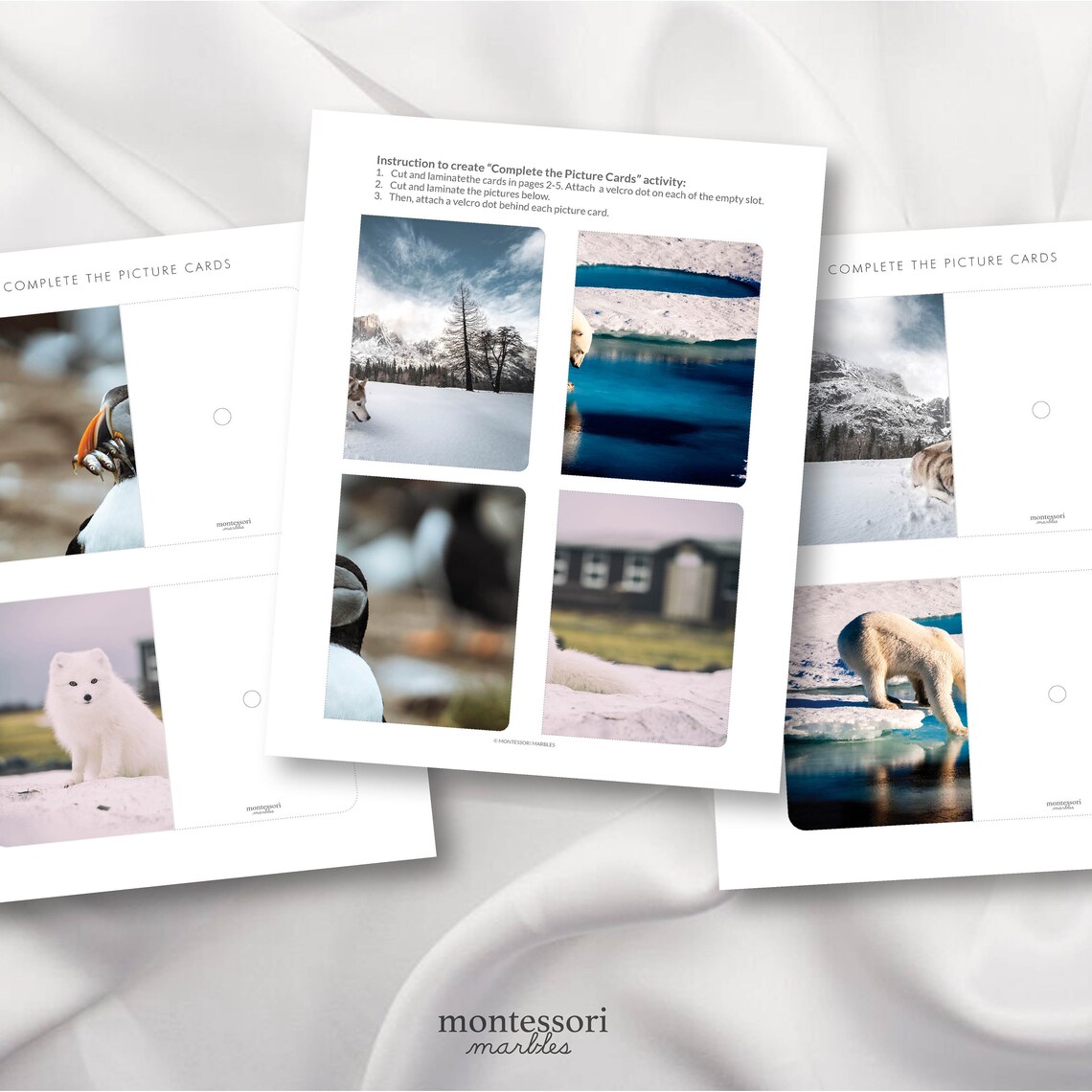 POLAR ANIMALS Montessori Picture Matching Activity Toddlers - Etsy