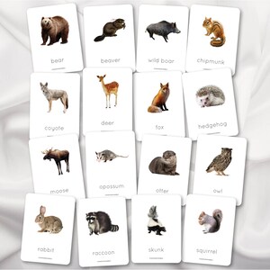 WOODLAND ANIMALS Flash Cards Montessori Inspired Printable Resources ...