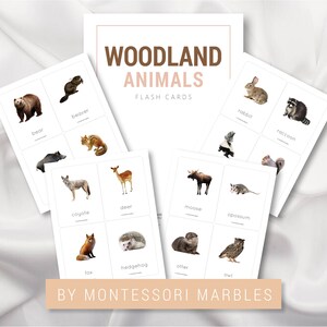 WOODLAND ANIMALS Flash Cards Montessori Inspired Printable - Etsy