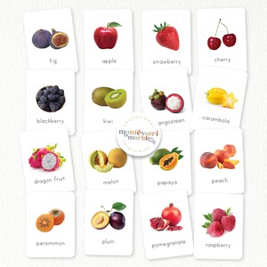 FRUITS Flash Cards | Montessori Inspired Resources With Real Pictures ...