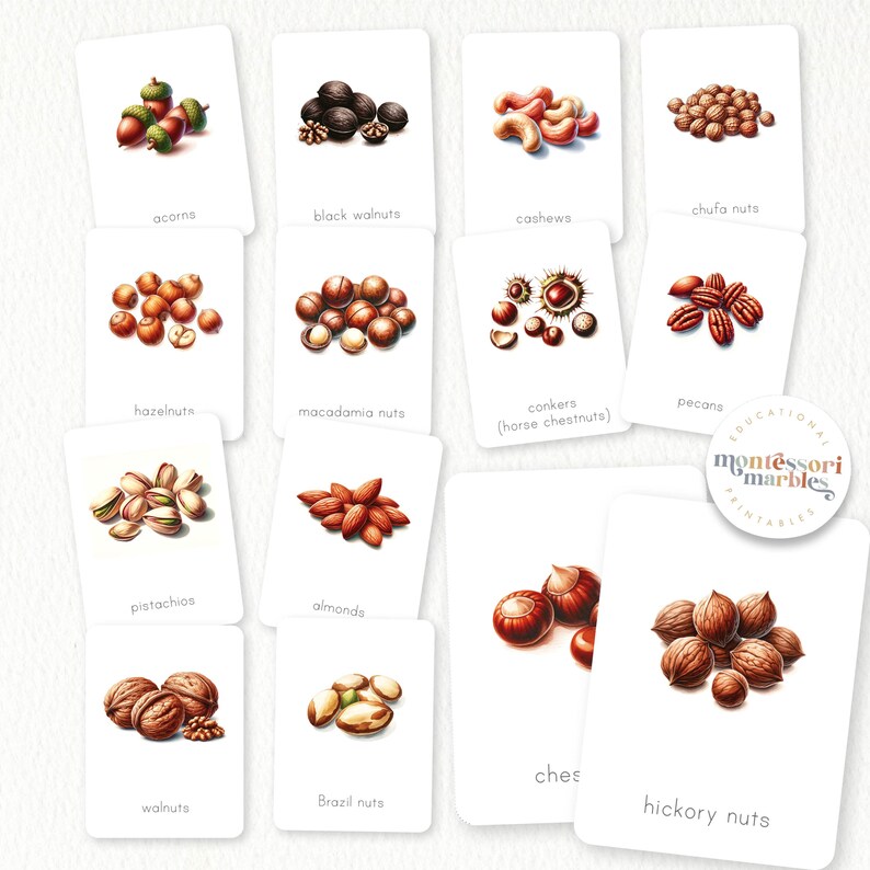 Types of Nuts Flash Cards | Food Learning Activities Printable ...