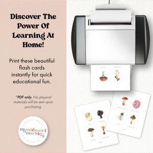 Mushroom Flash Cards | Montessori Inspired Fall Autumn Vocabulary ...