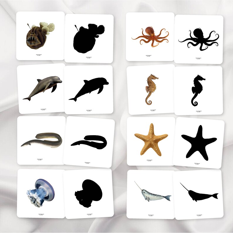 OCEAN ANIMALS Shadow Matching Montessori Inspired Silhouette Matching ...