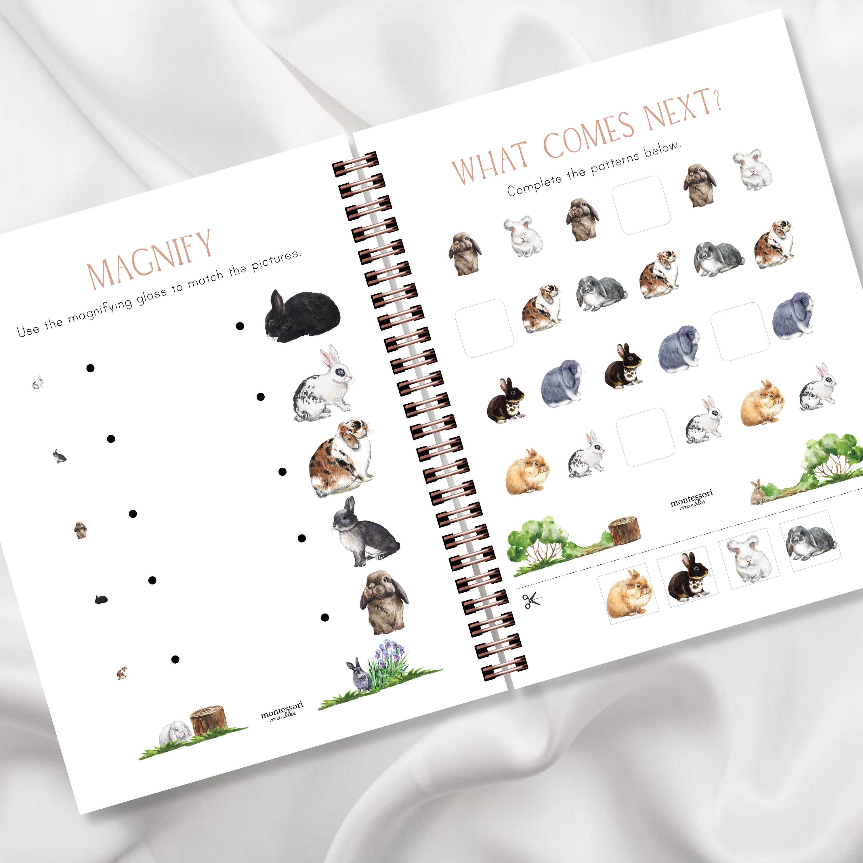 RABBIT Activity Workbook and Flash Cards Parts of a Rabbit - Etsy