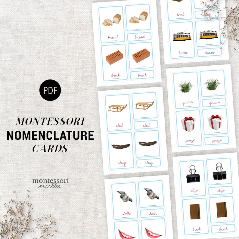 CURSIVE MONTESSORI BLUE Series Montessori Nomenclature Cards | Etsy